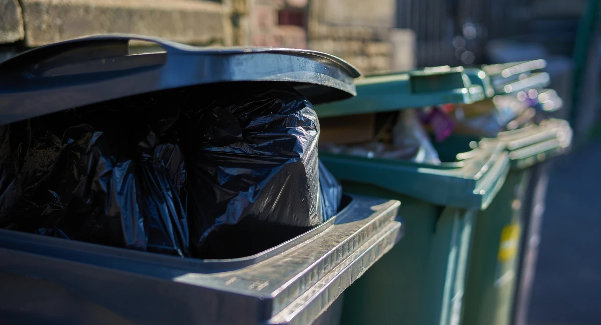 Wildlife Prevention Tips | Gregory Pest Solutions